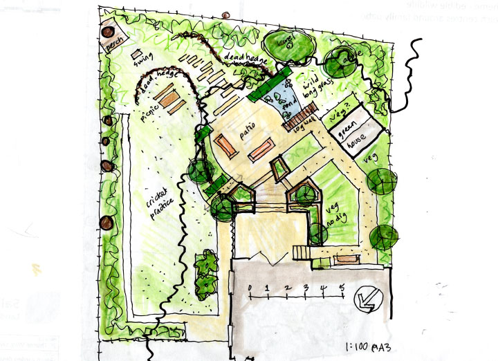 Gardens on my drawing board | Sally Bower